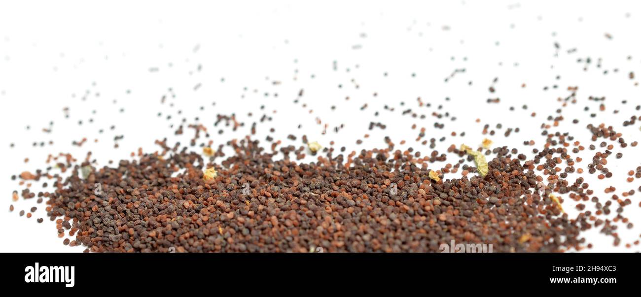 Opium Poppy seeds on white background Stock Photo - Alamy