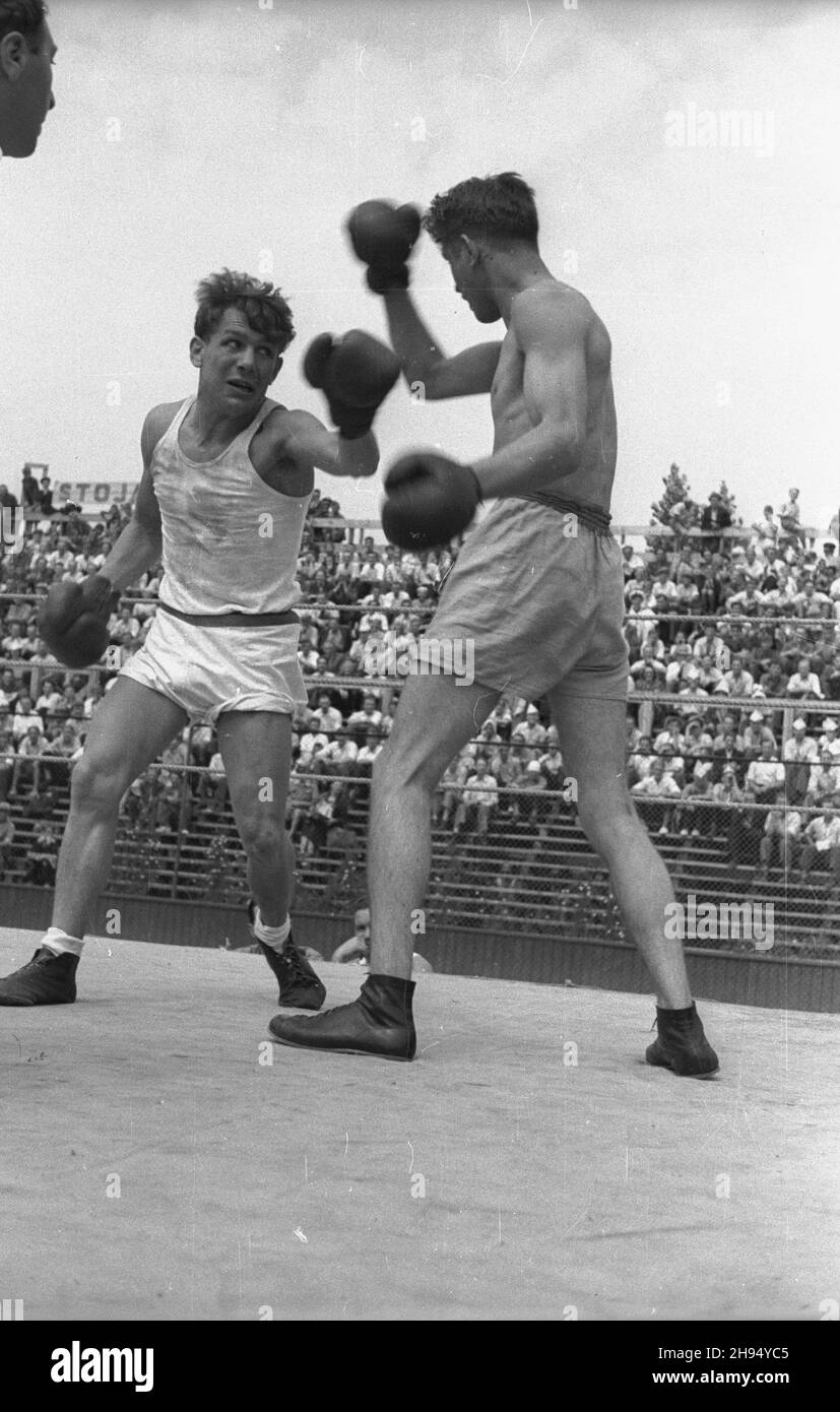 Hungarian boxer hi-res stock photography and images - Alamy