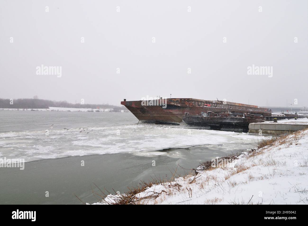 Vienna, Austria. February 07, 2012. Icy weather, with up to -20 degrees ...