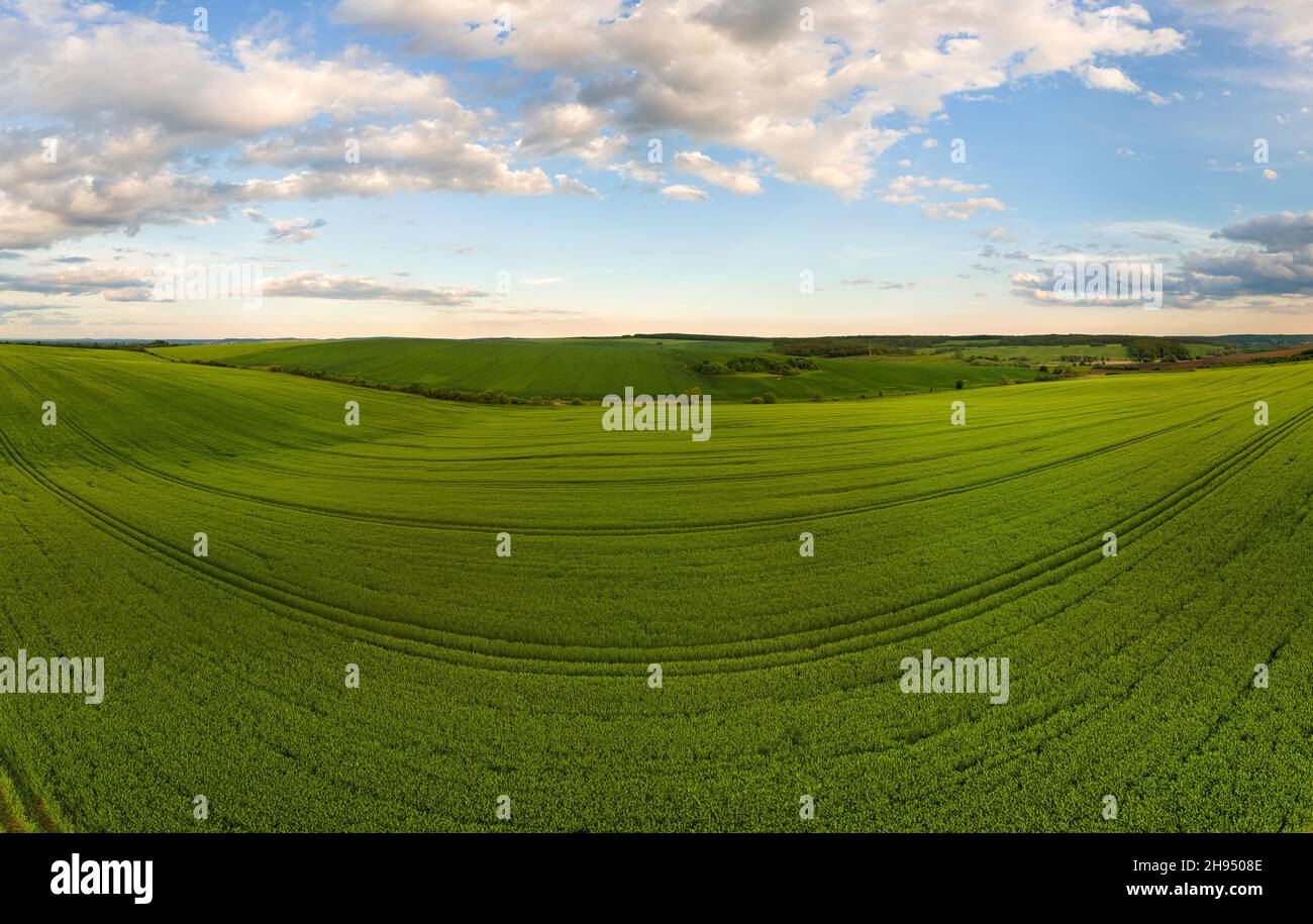 Aerial landscape view of green cultivated agricultural fields with ...