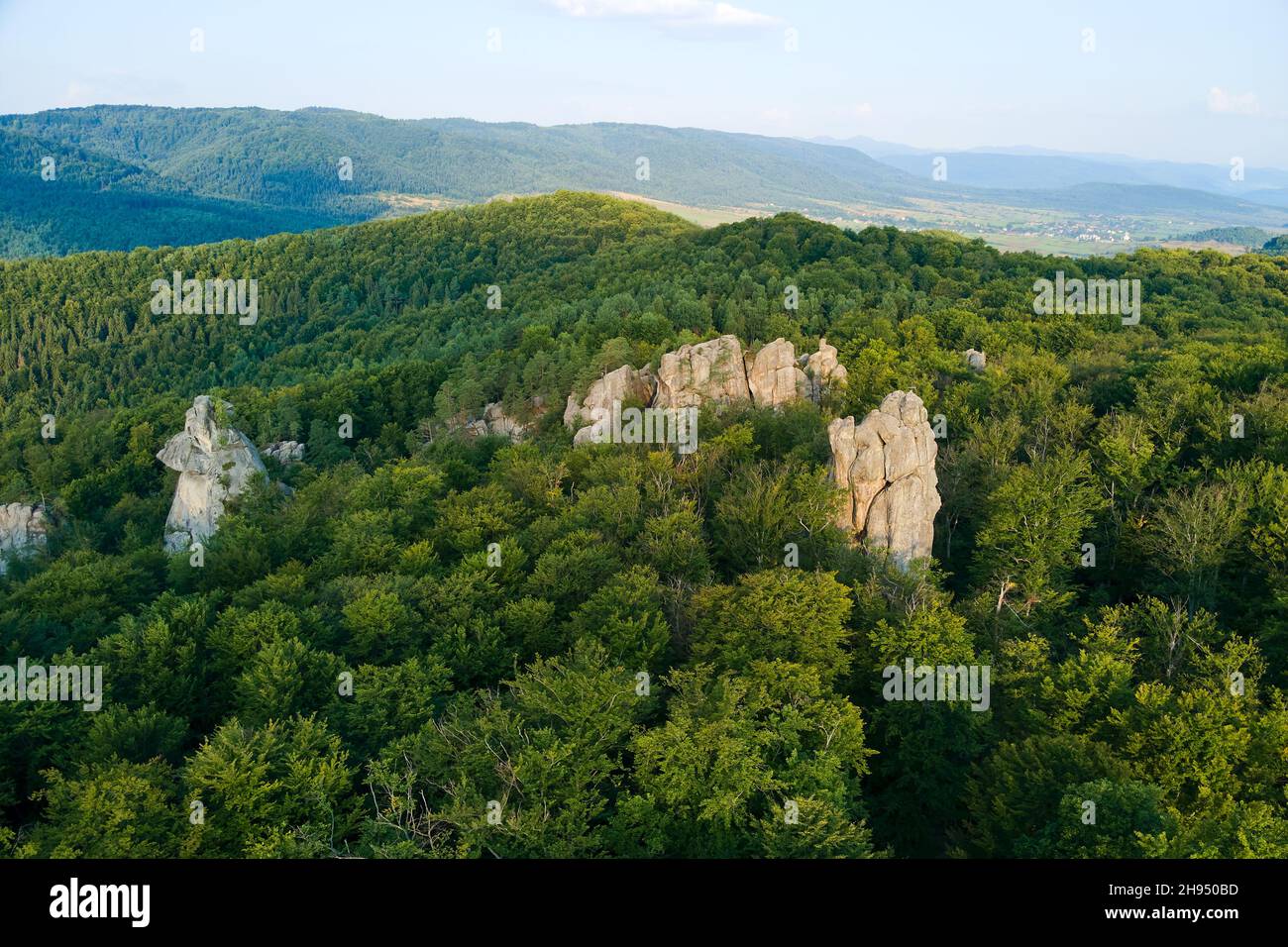 Aerial view of bright landscape with green forest trees and big rocky ...