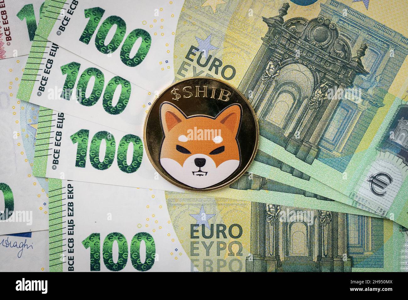 Shiba Inu physical coin laying on top of 100 Euro bills Stock Photo - Alamy