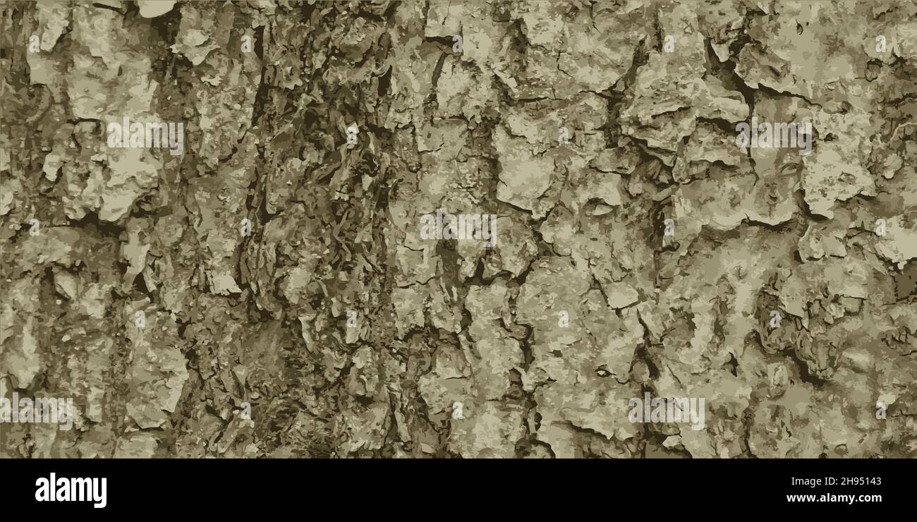 Graphic illustration of tree bark. Tree bark. Vector illustration eps ...