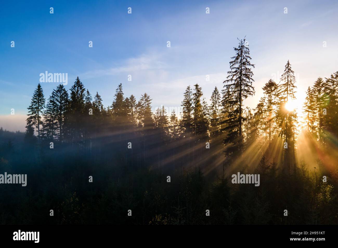 Sunrise over trees through movement hi-res stock photography and images ...