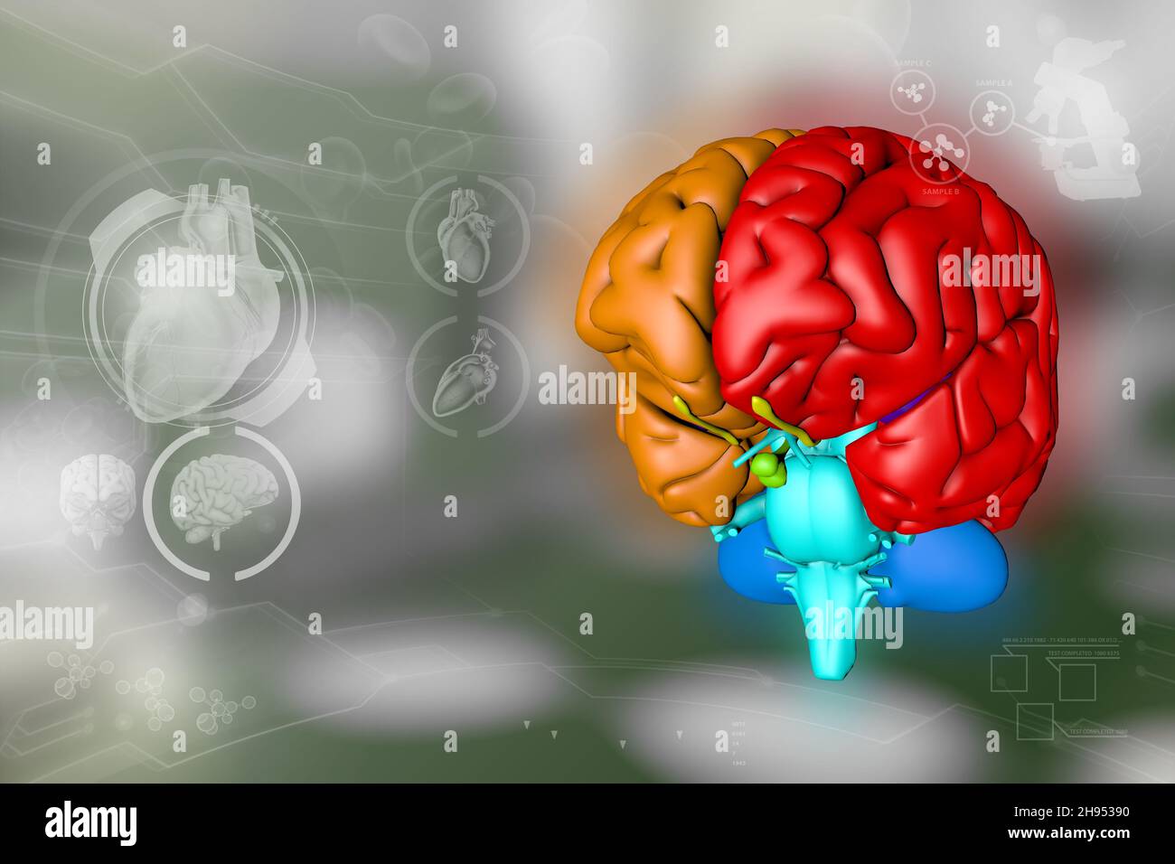 Medical 3D illustration - human brain, wisdom research concept - very ...