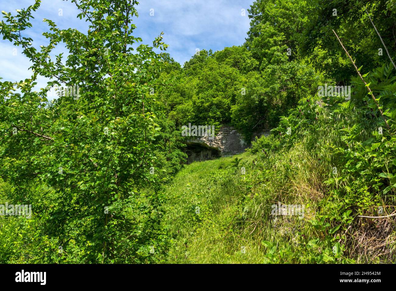 Medieval Albotin Rock Monastery, Vidin Region, Bulgaria Stock Photo - Alamy