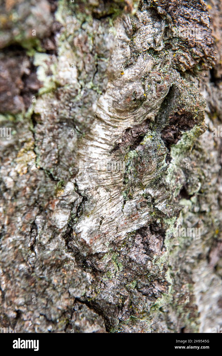 Rainworth hi-res stock photography and images - Alamy