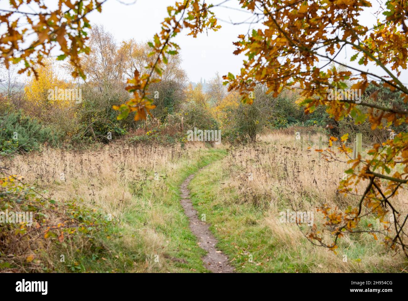 Rainworth hi-res stock photography and images - Alamy