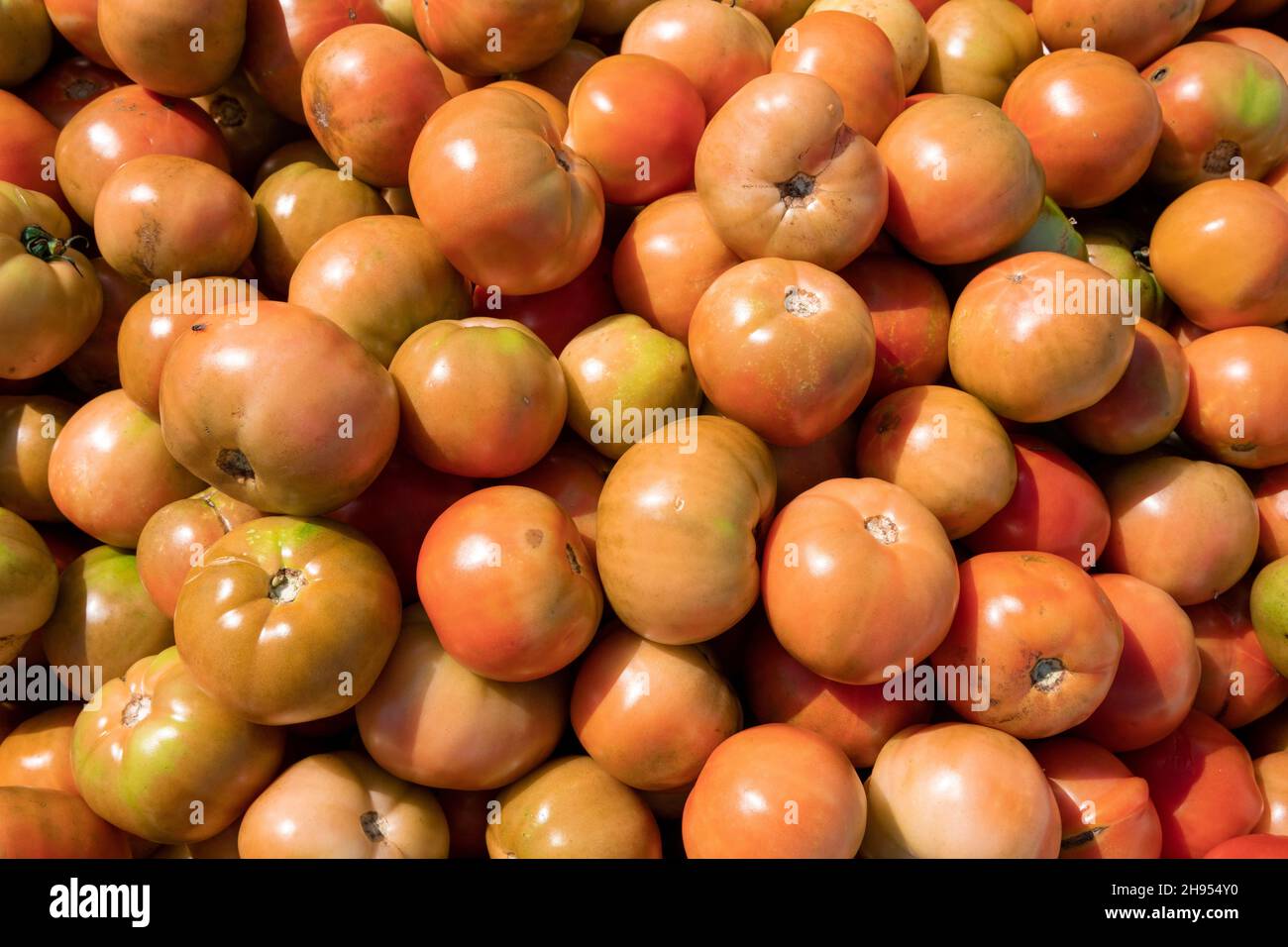 Heap of fresh tomatoes on background Stock Photo - Alamy