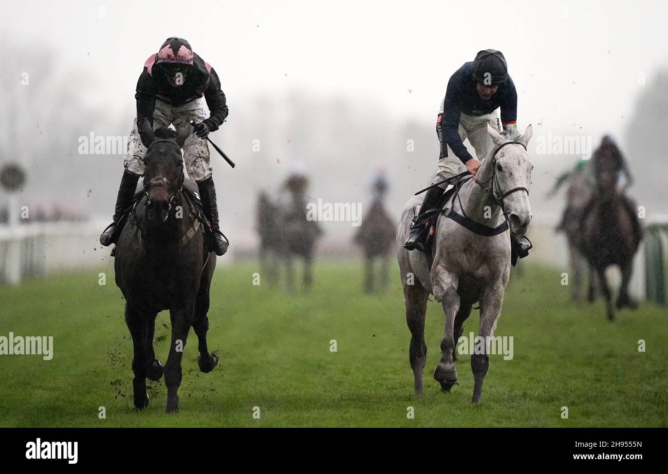 Snow leopardess horse hi-res stock photography and images - Alamy