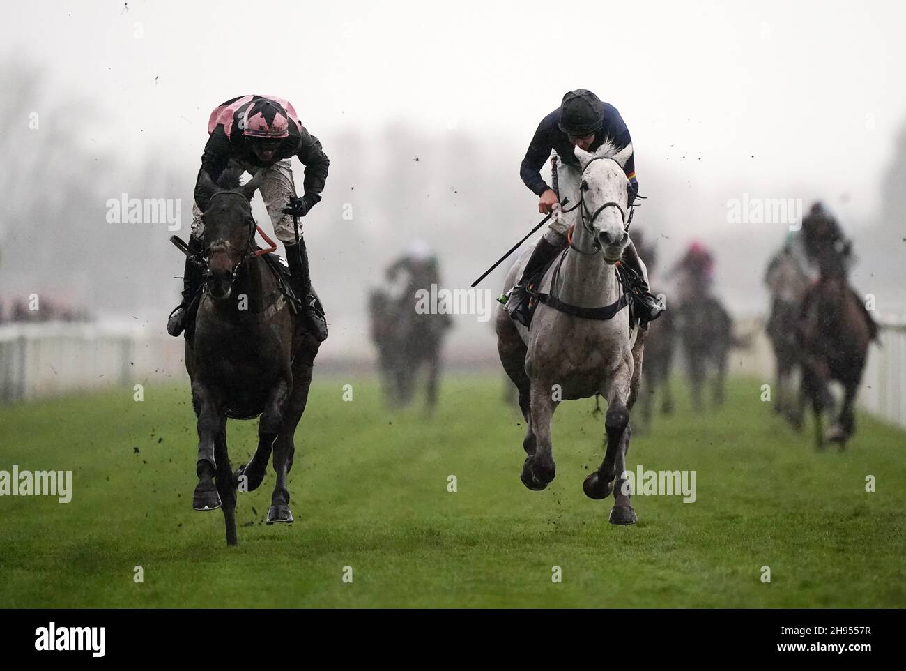 Snow leopardess hi-res stock photography and images - Alamy