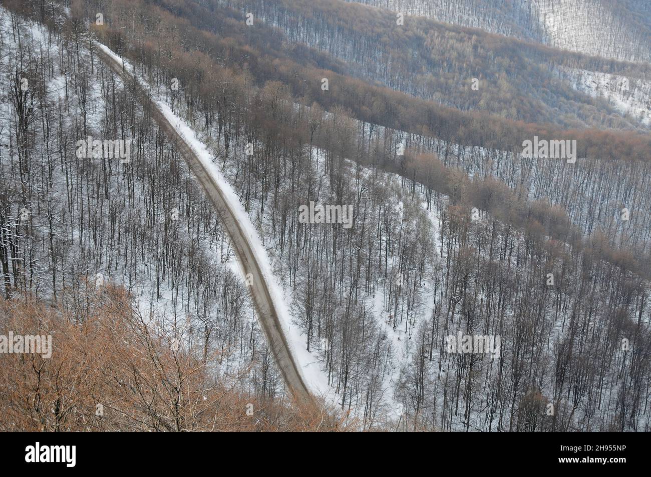 Skiing road in the mountains in Serbia Stock Photo - Alamy