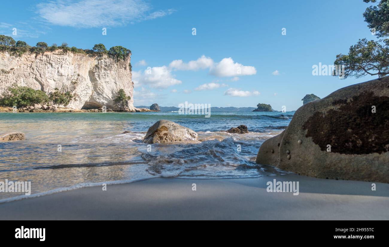 Stingray bay new zealand hi-res stock photography and images - Alamy