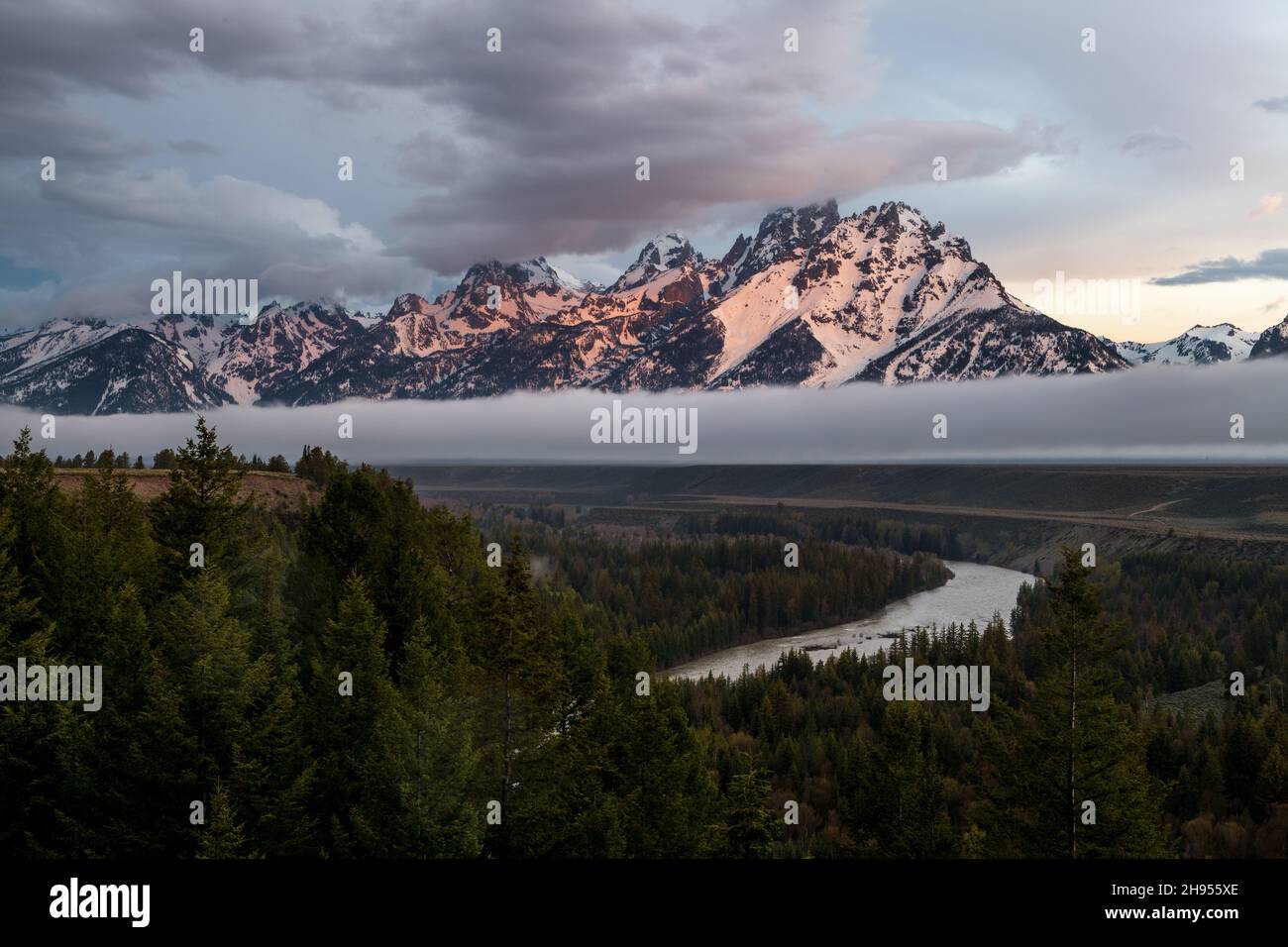 Grand Teton National Park, Snake River Overlook Elk USA Stock Photo - Alamy