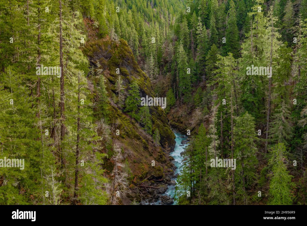 View down from High Steel Bridge over South Fork Skokomish River on ...
