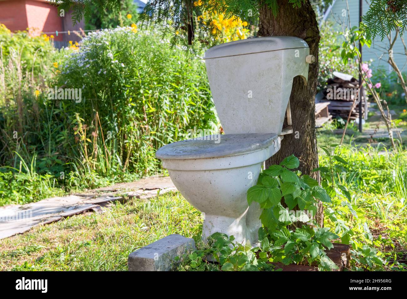 Toilet bowl and cistern under a tree on a summer day nature Stock Photo ...