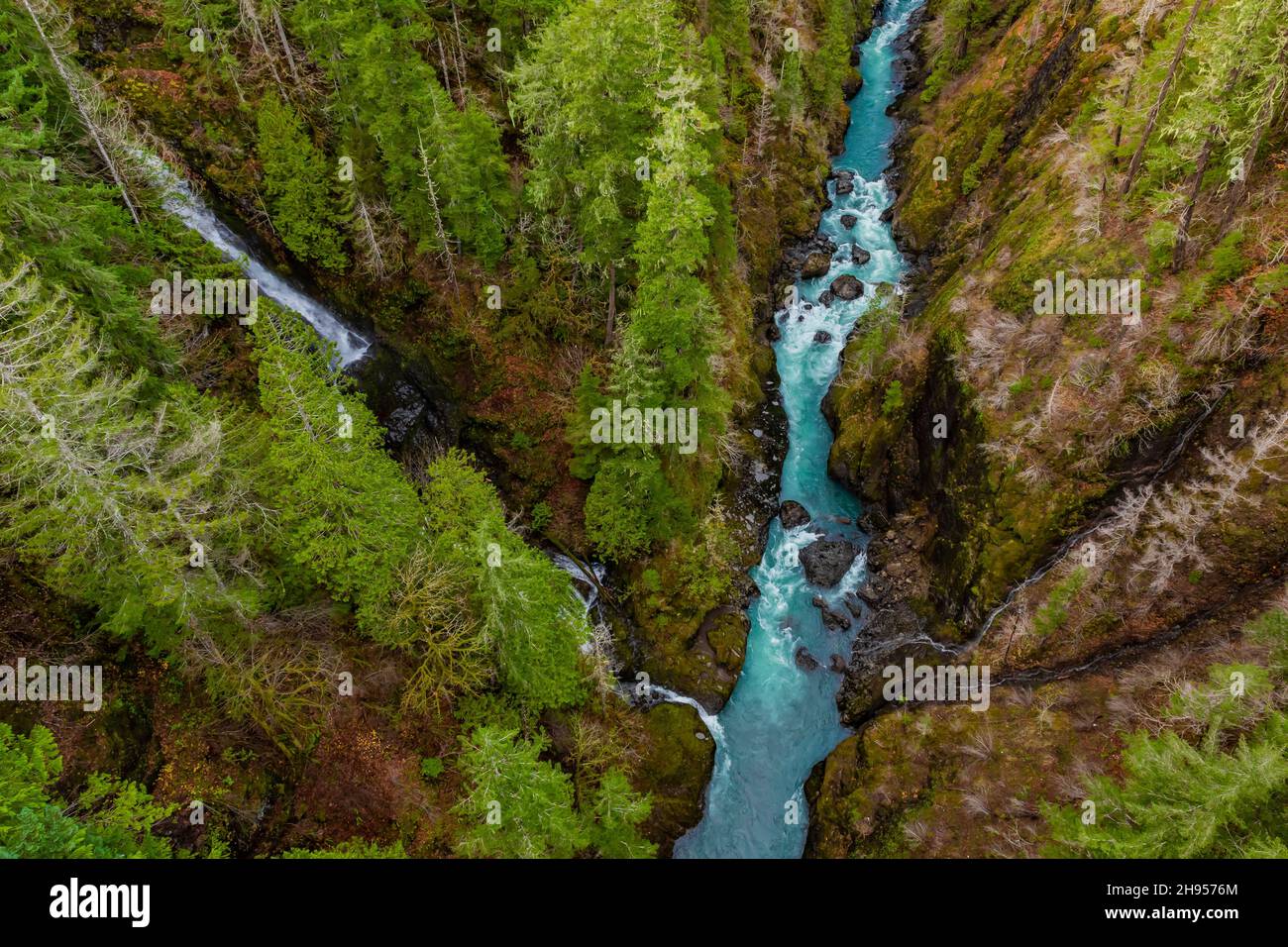 View down from High Steel Bridge over South Fork Skokomish River on ...