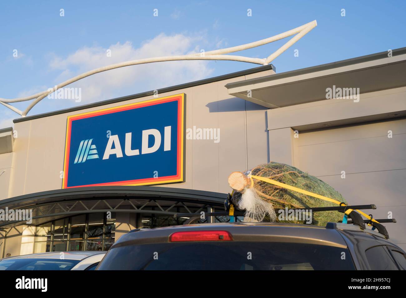 Shopperchristmas tree hi-res stock photography and images - Alamy