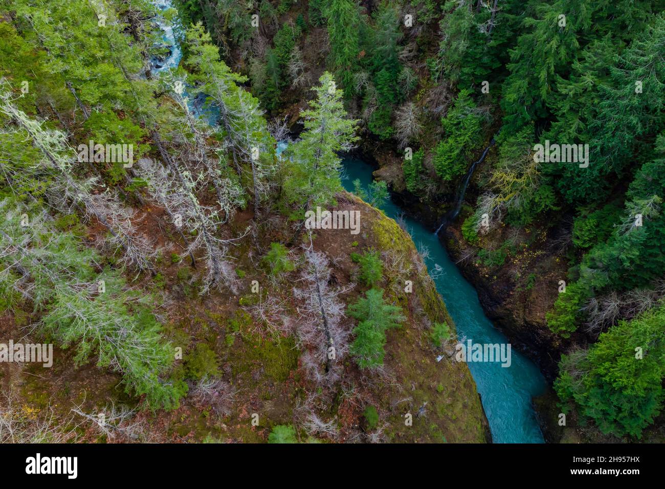 View down from High Steel Bridge over South Fork Skokomish River on ...
