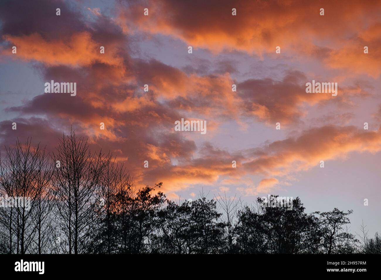 Outskirts of berlin hi-res stock photography and images - Alamy