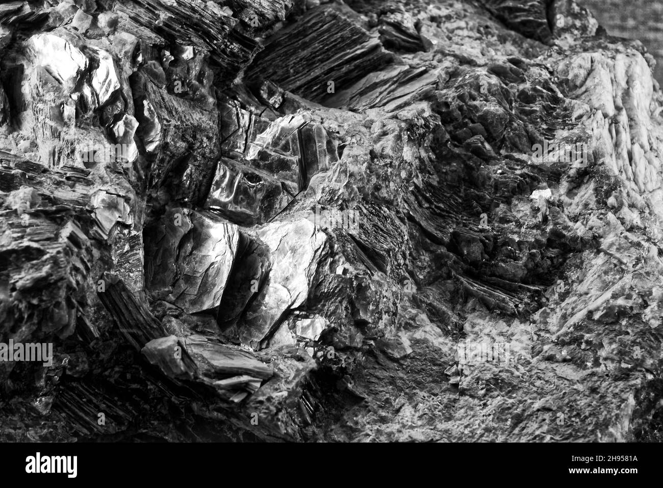 Muscovite images Black and White Stock Photos & Images - Alamy