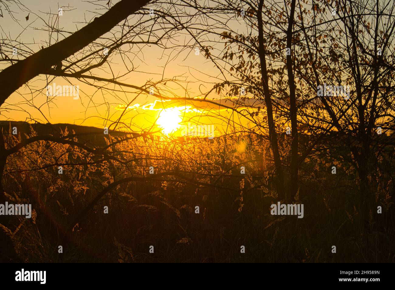 Setting sun on the outskirts of Berlin. The sun shines through the ...