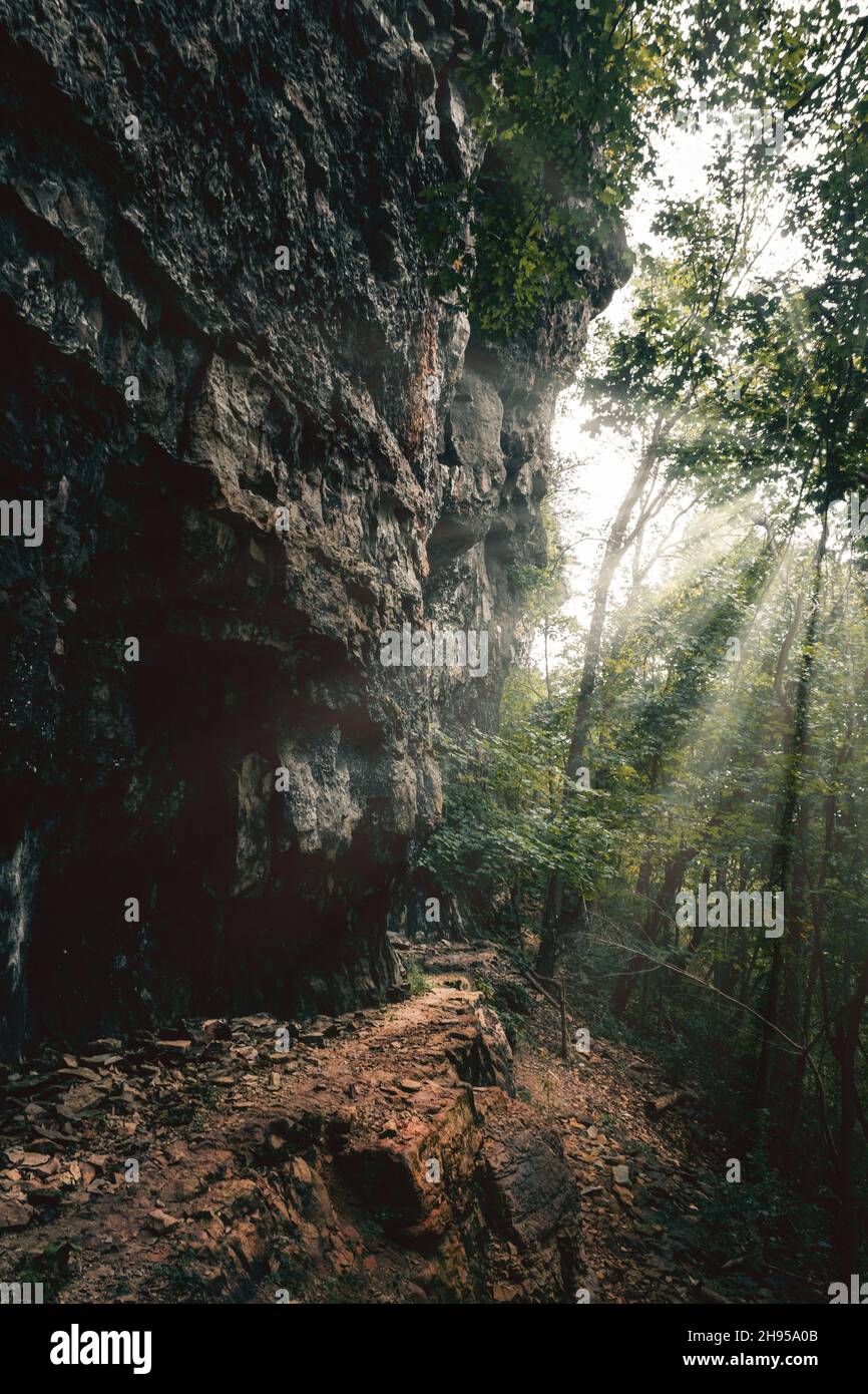 Vertical shot of a landscape with a cliff and beautiful greenery in the ...