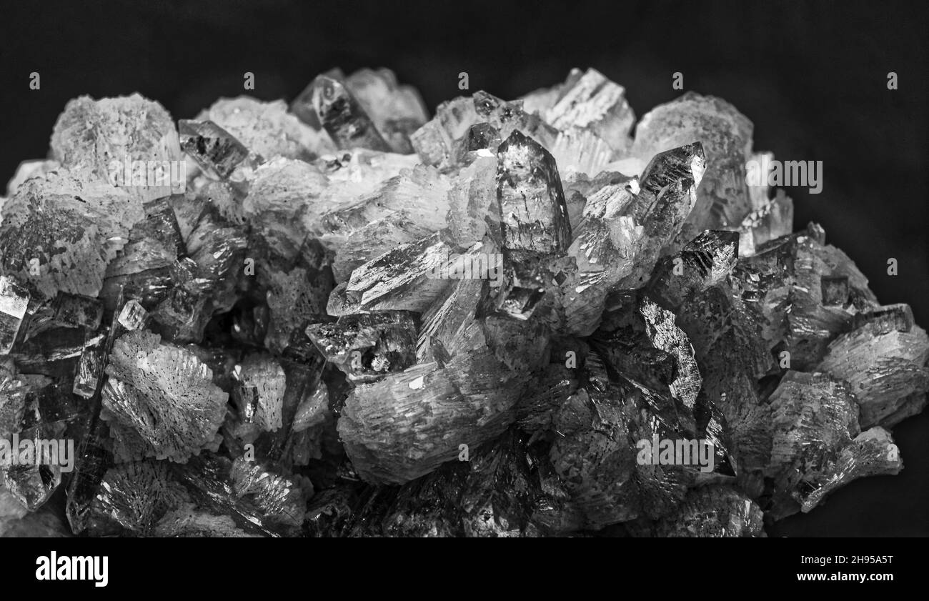 Fisheye images hi-res stock photography and images - Alamy