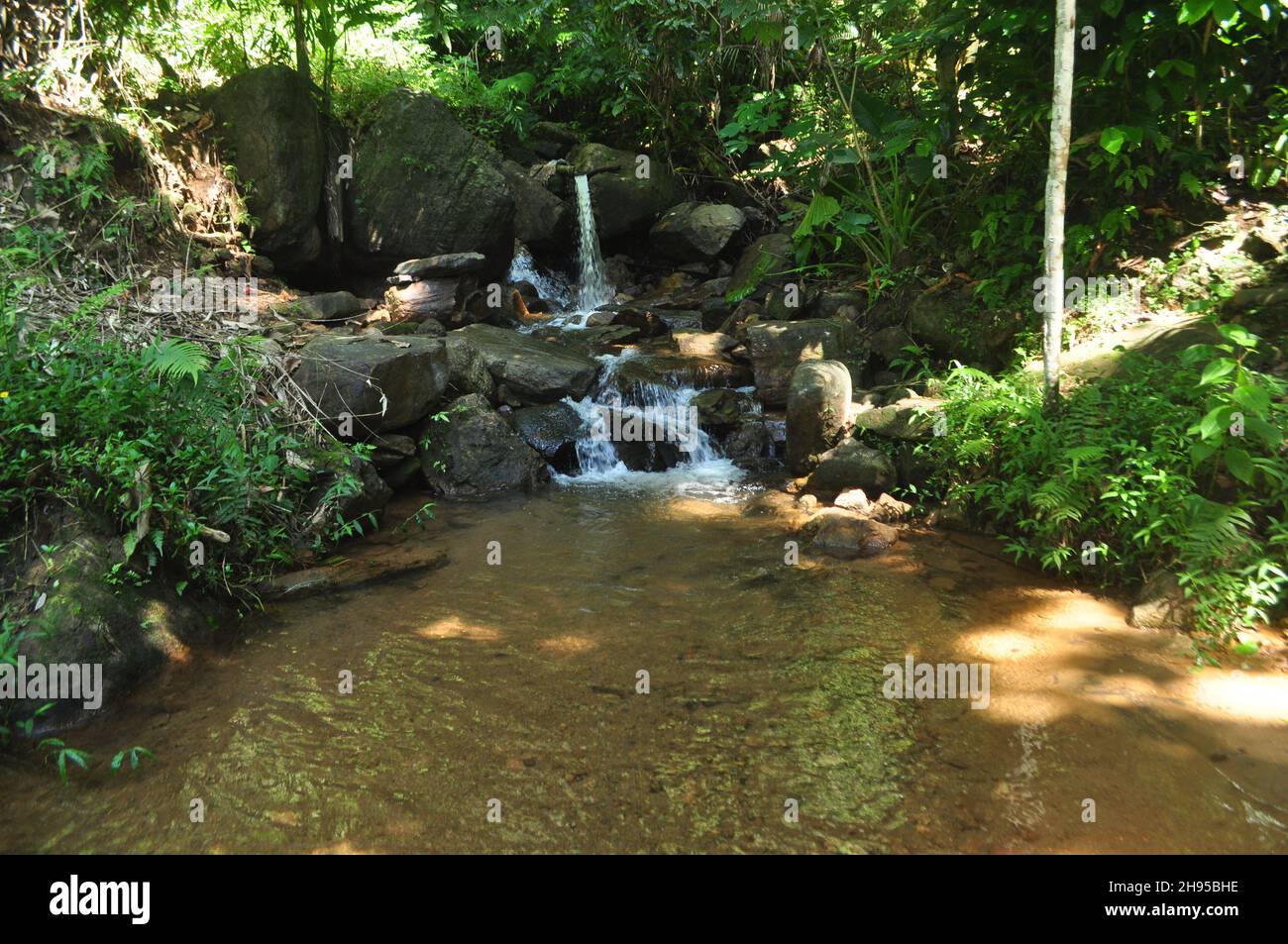 natural water pool of water created by a flowing natural water canal ...