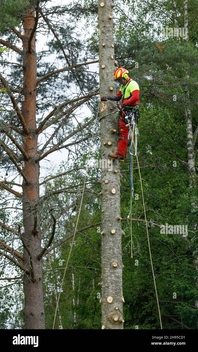 Fall arrest safety harness hi-res stock photography and images - Alamy