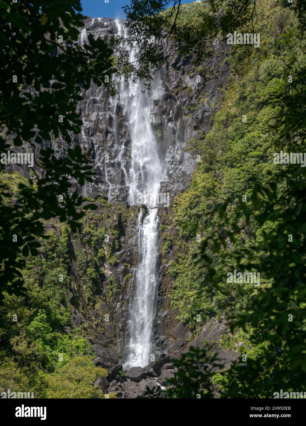 wairere falls, waterfalls in a forest, bay of plenty, new zealand Stock ...
