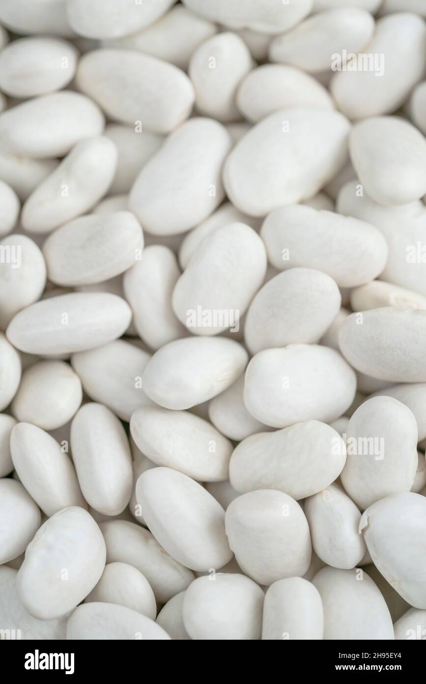 haricot beans, food background with dried raw haricot beans. food ...