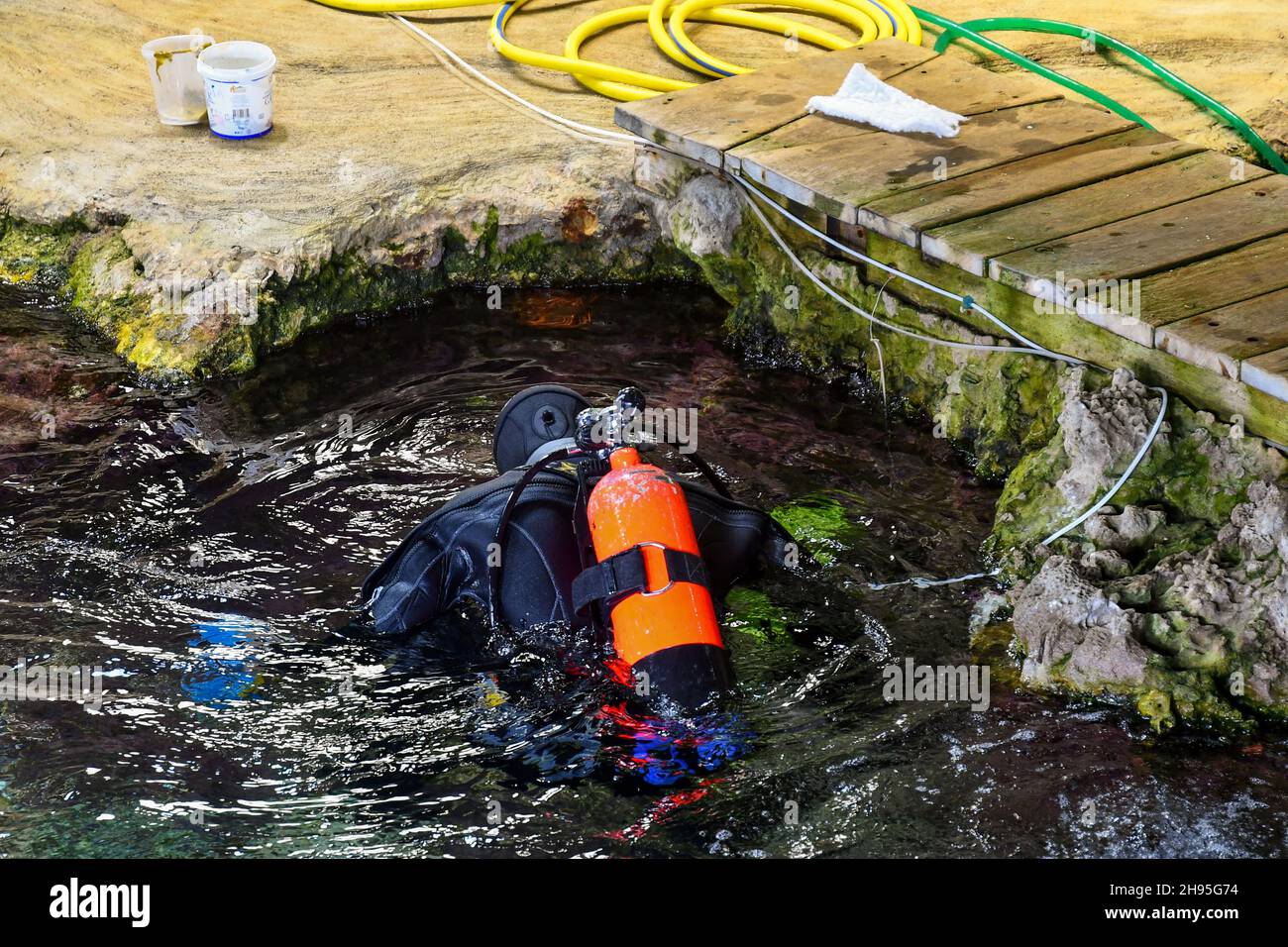 A sub is about to dive in one of the tanks inside the Aquarium of Genoa ...