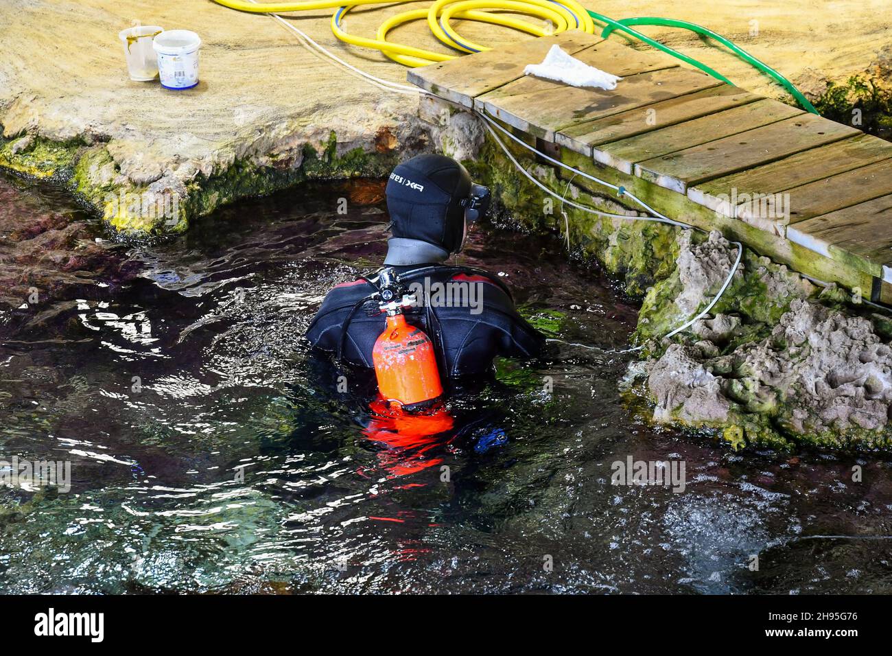 A sub is about to dive in one of the tanks inside the Aquarium of Genoa ...