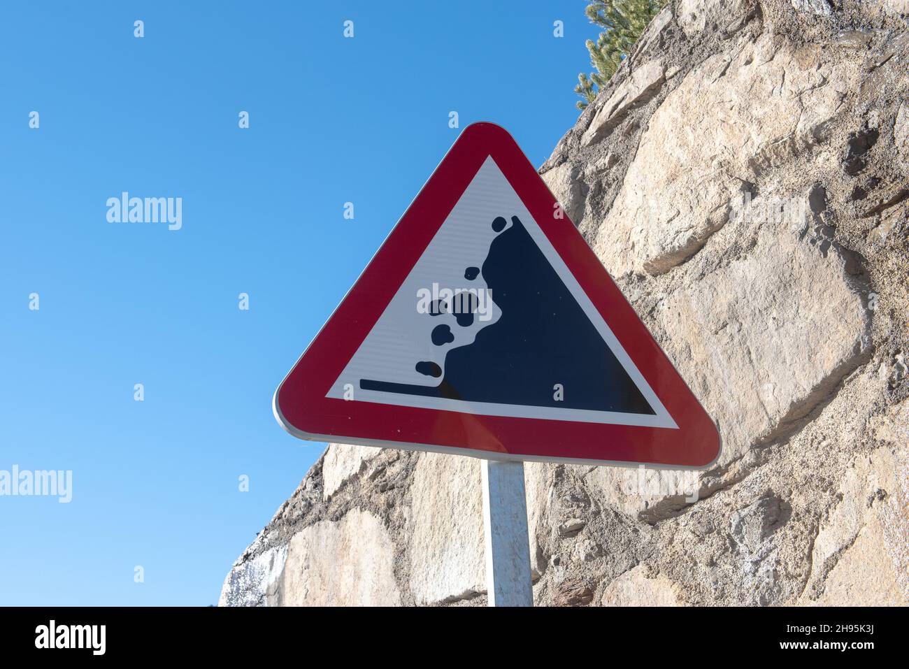 Arboles vector hi-res stock photography and images - Alamy