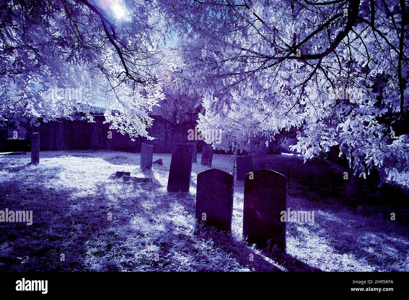 Old graveyard in a park edited in a blue color Stock Photo - Alamy