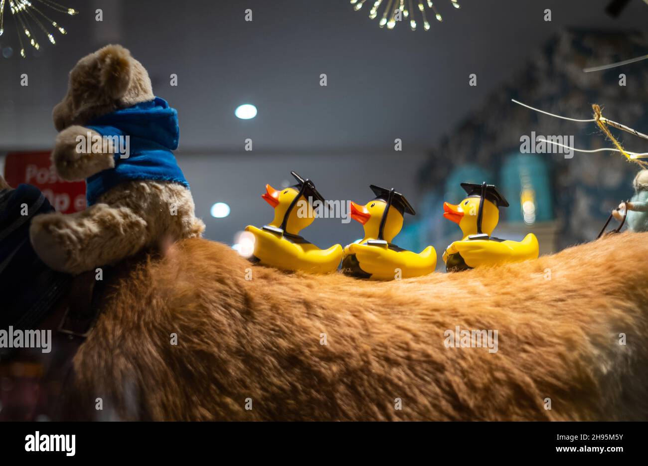 Creative window display hi-res stock photography and images - Alamy