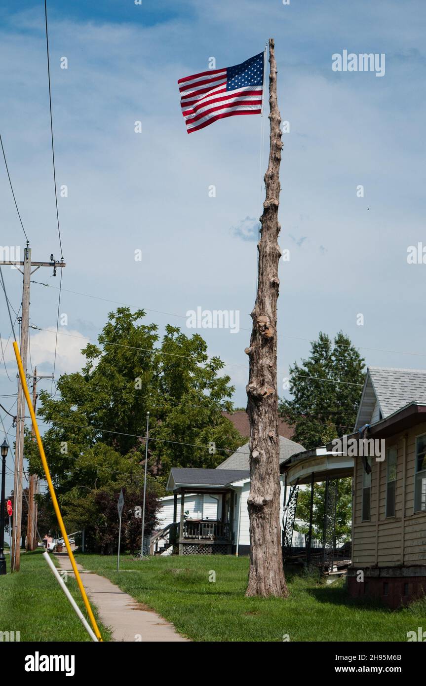 American flag hanging from tree hi-res stock photography and images - Alamy