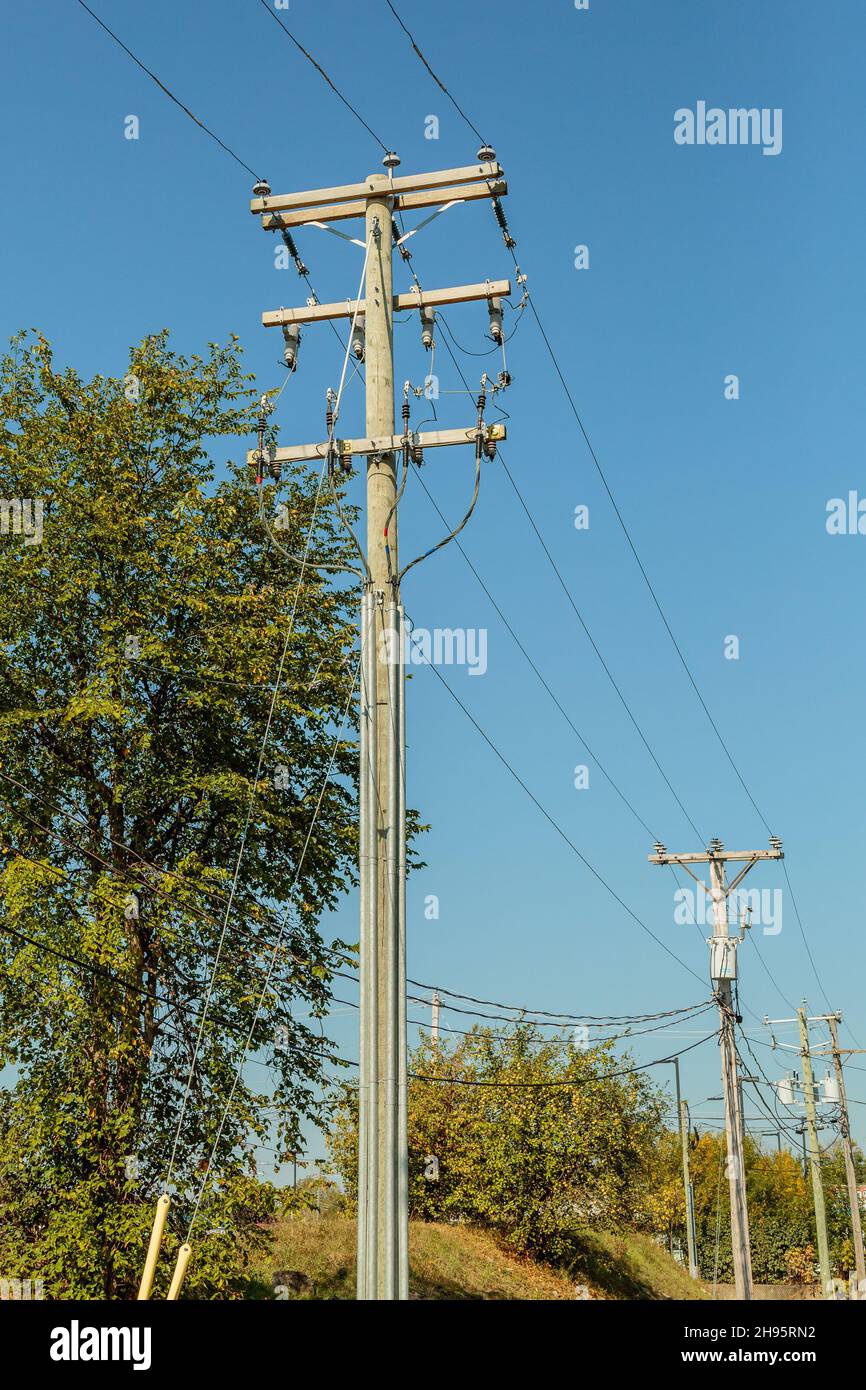 Utility posts for phone, electricity and cable under a blue sky Stock ...