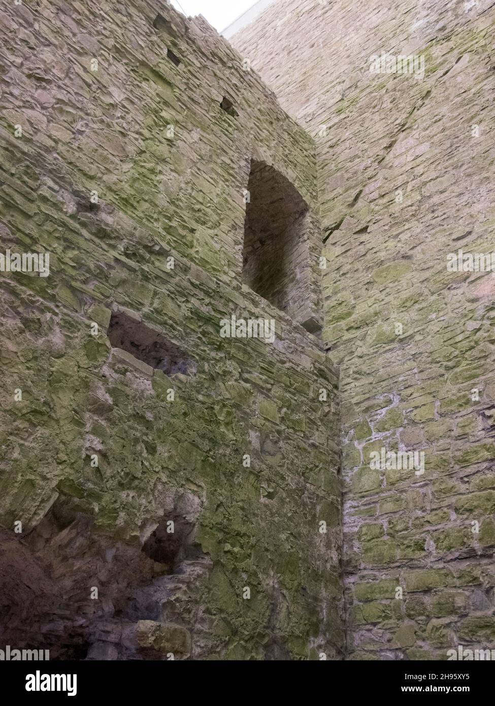 Architectural detail in Trim Castle Ireland Stock Photo - Alamy
