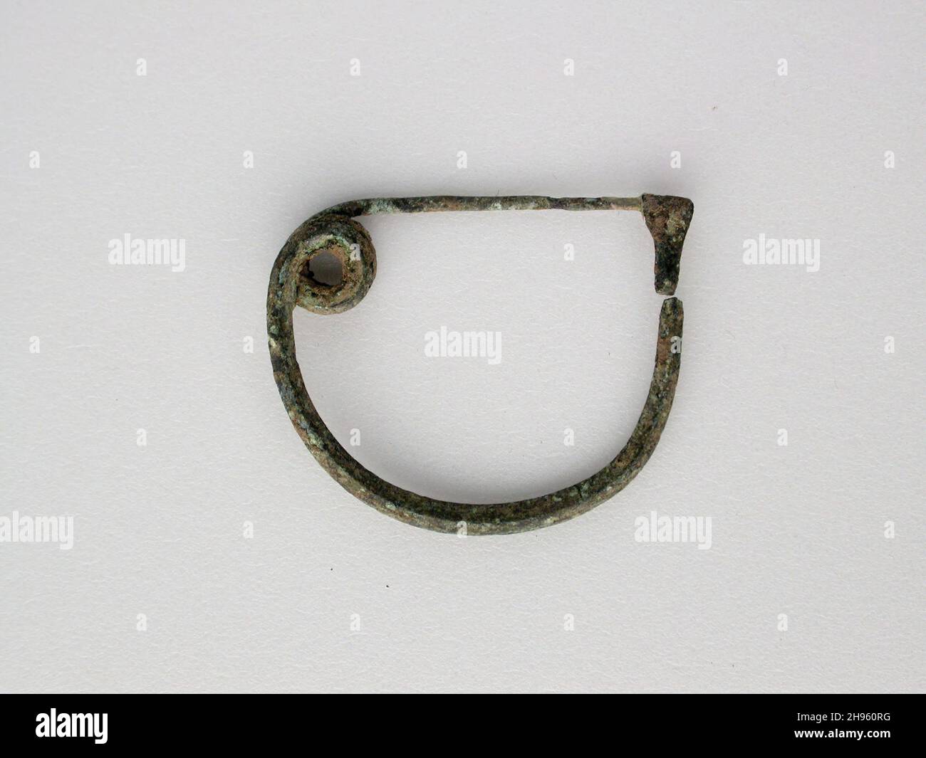 Wire fibula hi-res stock photography and images - Alamy