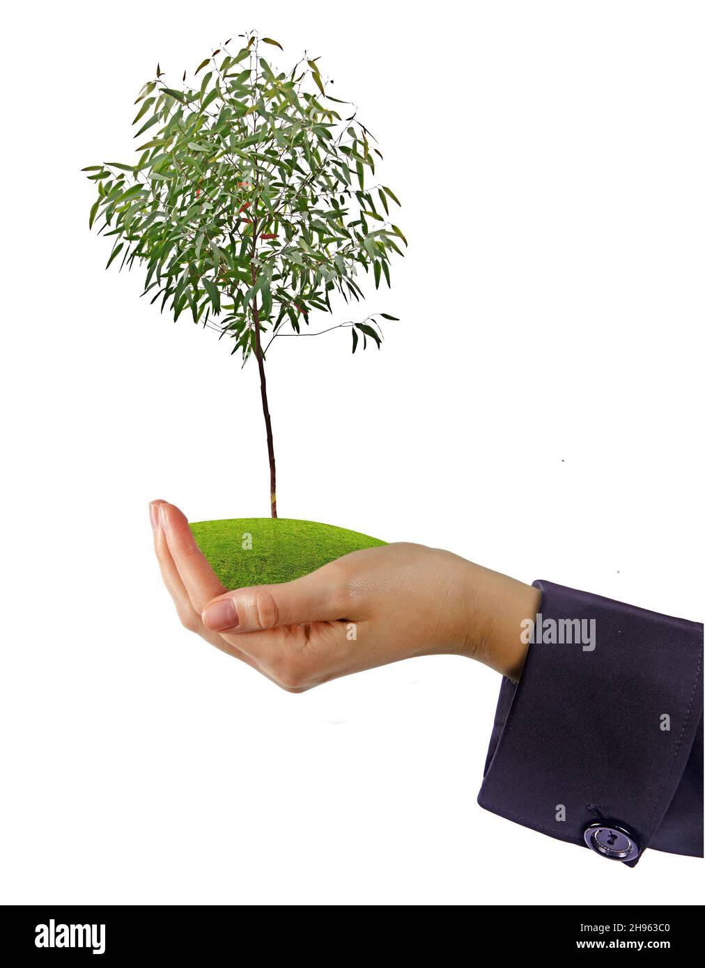 Gumtree background hi-res stock photography and images - Alamy