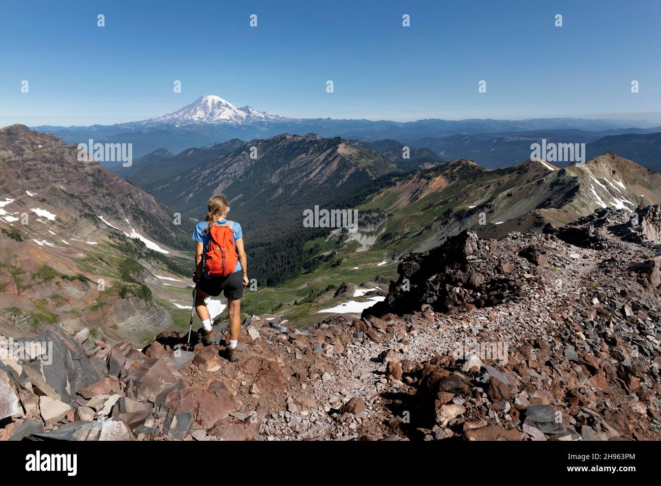 WA20477-00....WASHINGTON - Woman hiking on the Pacific Crest Trail in ...