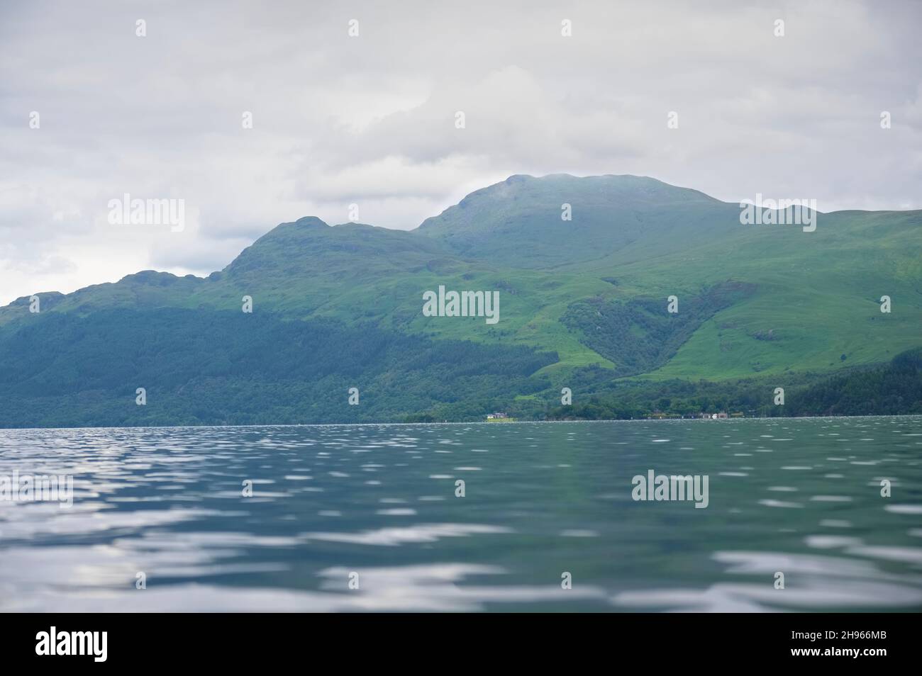 The shore of Culag beach on Loch Lomond Stock Photo - Alamy