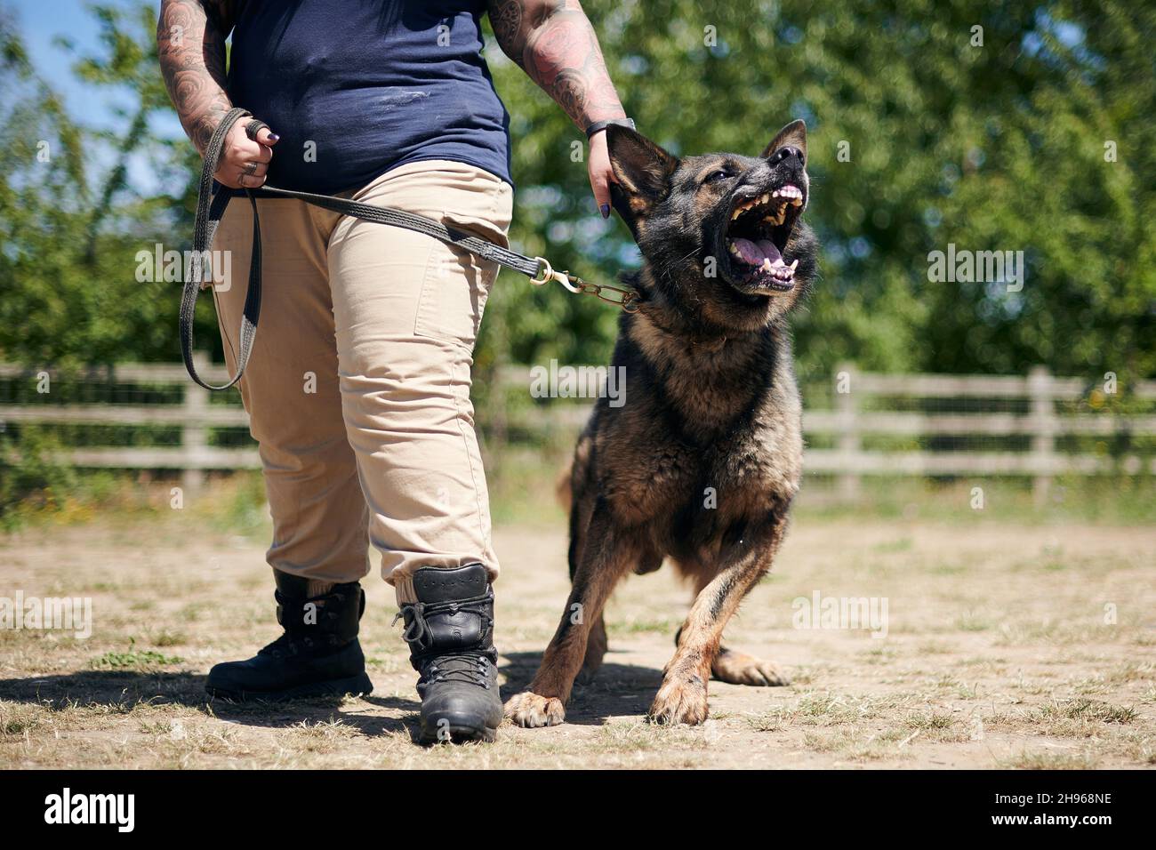 Security guard with dog hi-res stock photography and images - Alamy
