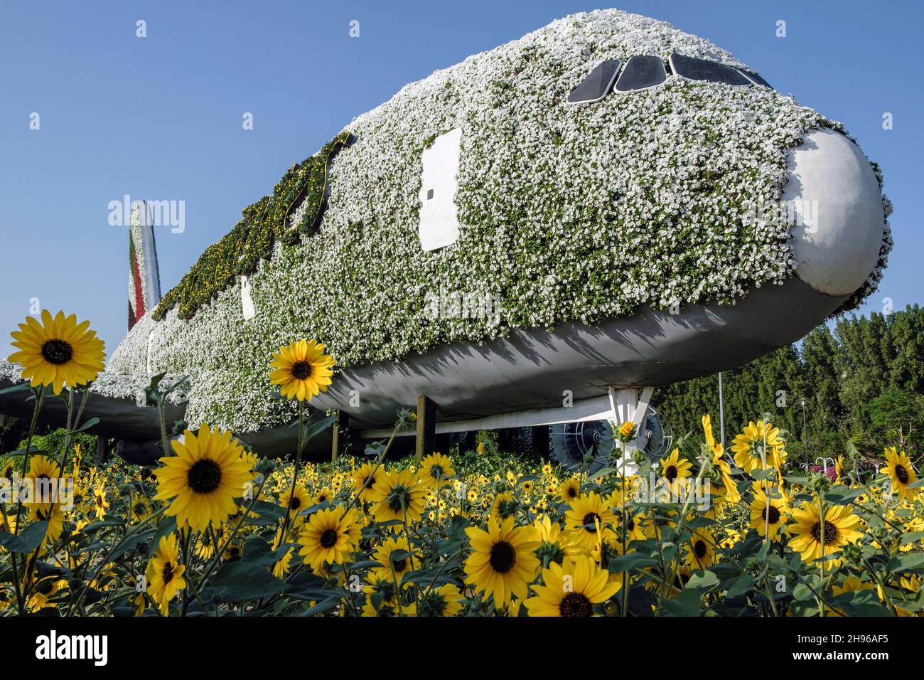 A flower-covered Emirates Airbus at the Dubai Miracle Garden Stock ...