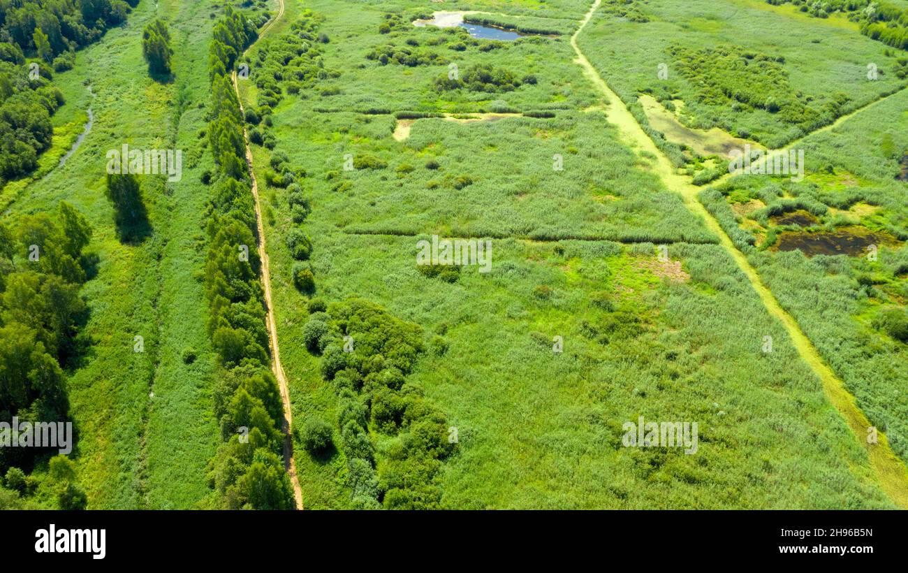 Aerial view of a swamp in a woodland on a summer day Stock Photo - Alamy
