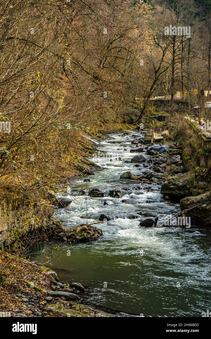 Famous park in city-resort with mineral water springs Borjomi in the ...