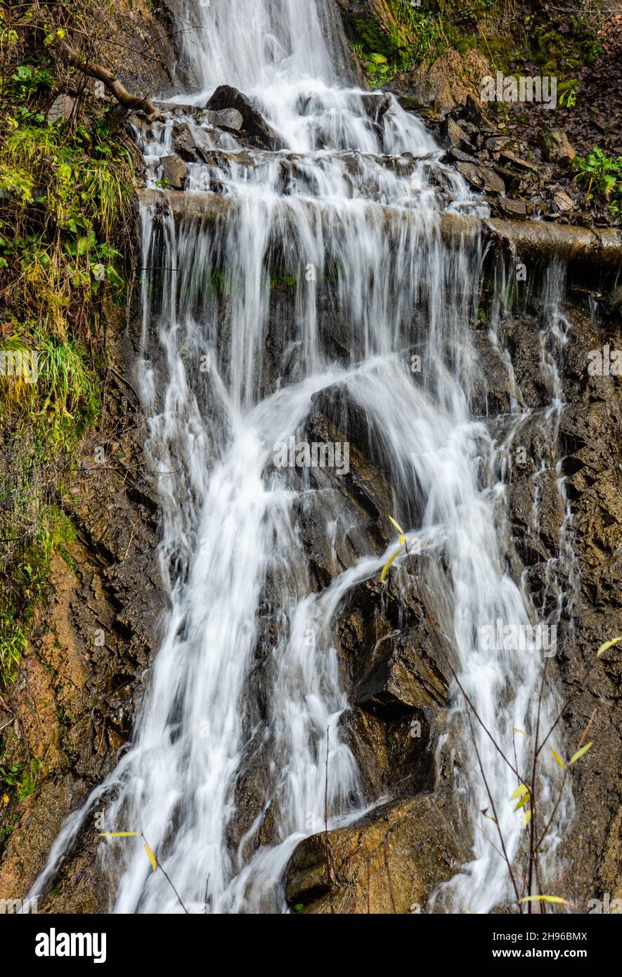 Famous park in city-resort with mineral water springs Borjomi in the ...