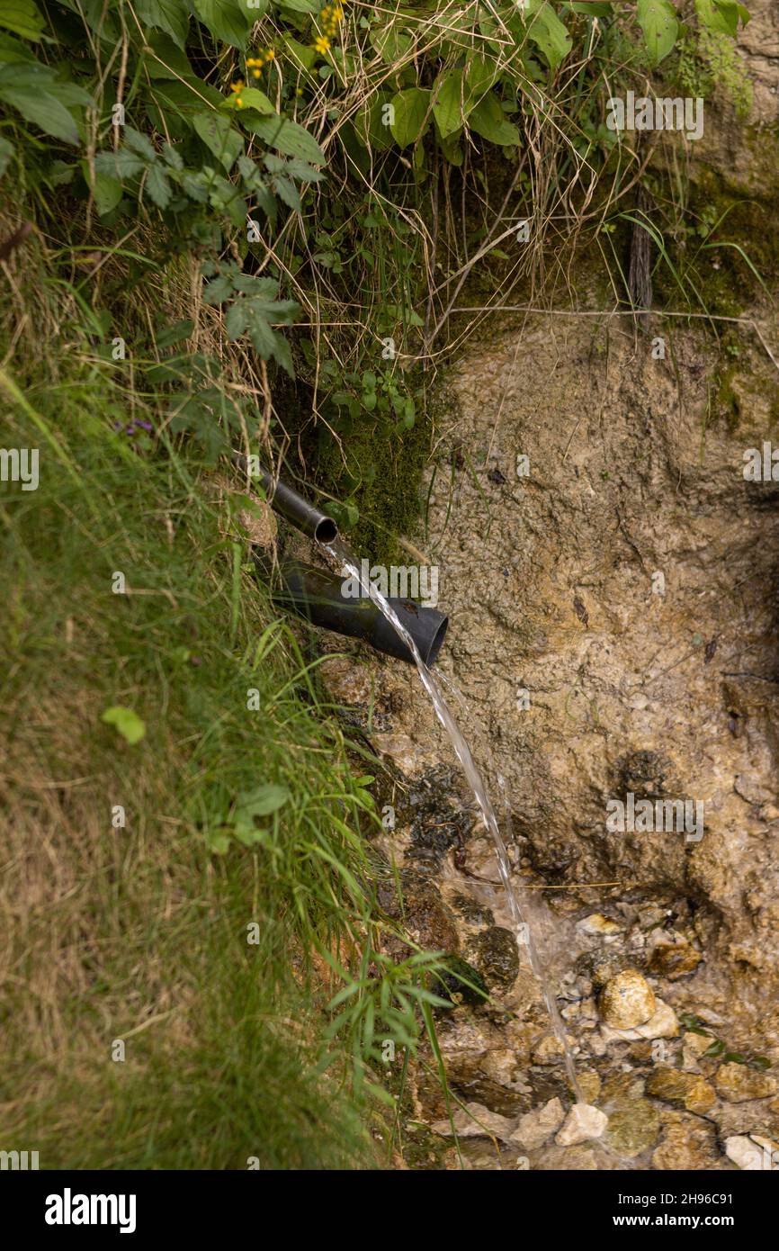 Fresh spring water in a forest Stock Photo - Alamy